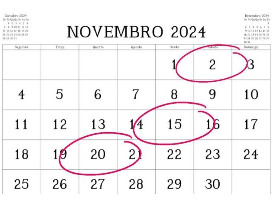 Dia da Consciência Negra é feriado nacional e assegura direitos ...