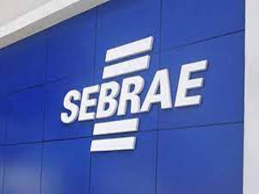 Sebrae abre vagas para Agentes de Inovação e Orientadores com bolsas de ...