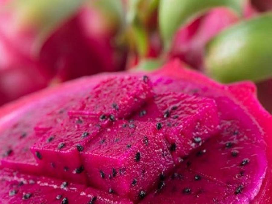 Pitaya: tipos, benefícios e como comer a fruta do dragão - Portal ...