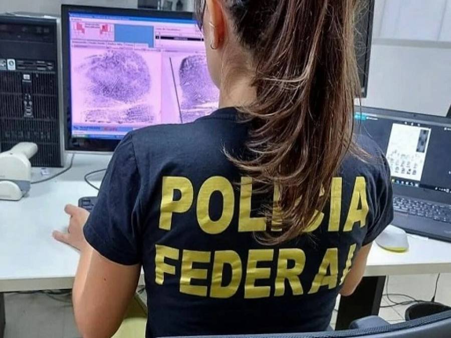 Concurso Da Pf E Prf 2023 Image To U