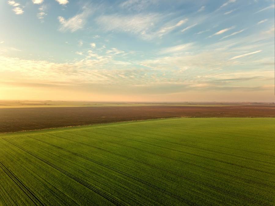 A importância do campo para a economia - Portal Ururau - Site de ...